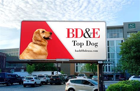 Bdande On Linkedin Bdande Brand Drives Everything