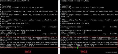 oracle 19c 集群rac安装（基于nfs共享存储） oracle 19c rac安装 csdn博客