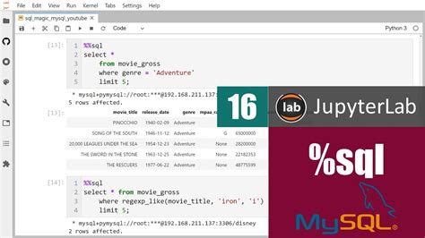 สอน Jupyterlab การใช้ Sql Magic เพื่อติดต่อกับ Mysql Youtube