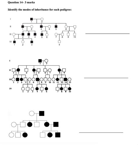 Solved Question 14 3 Marks Identify The Modes Of