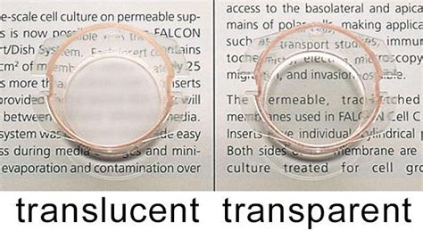 Clear Vs Translucent Vs Transparent How To Distinguish