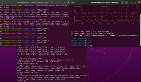 实验 基于REST API的SDN北向应用实践 garty 博客园