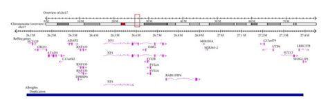 Array Deletion Map Of Area On Q With Deleted Genes Listed Download Scientific Diagram