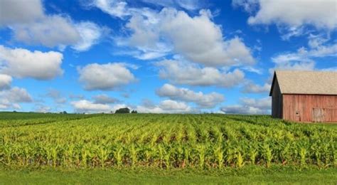 Illinois Inheritance Laws What You Should Know