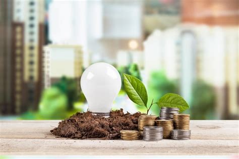 Conceito Planta E Bulbo De Economia De Energia Foto Premium