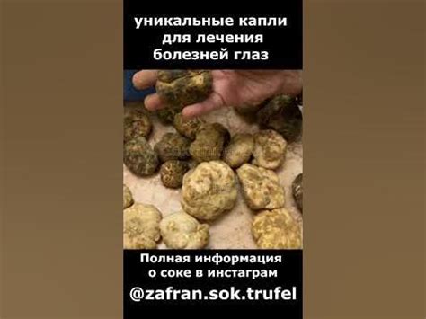 СОК ТРЮФЕЛЯ ИЗ ЕГИПТА ДЛЯ ЛЕЧЕНИЯ БОЛЕЗНЕЙ ГЛАЗ ЗАФРАН. zafran. #zafran ...
