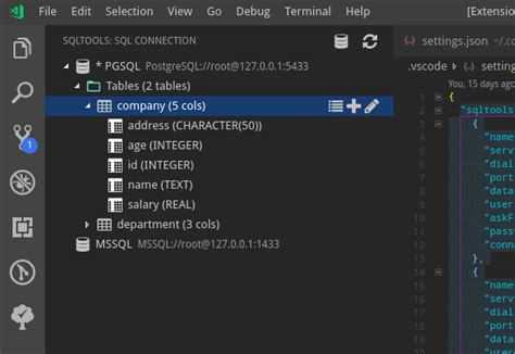 Show Columns In The Pane · Issue 125 · Mtxrvscode Sqltools · Github