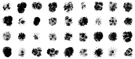 Tree Top View Sillhouette Png Images Eps Free Download Pikbest