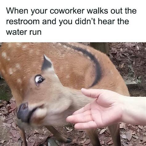 Memes For The 9 To 5 Grind Keeping You Smiling At Work 44 Pics