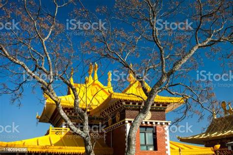 맑고 푸른 하늘 배경에 노란색 지붕밝은 다채로운 불교 사원 0명에 대한 스톡 사진 및 기타 이미지 0명 건물 외관 건축 Istock