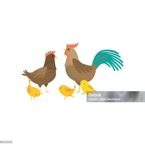 흰색 배경에 고립 된 마당에서 수탉 암탉과 세 개의 노란 닭 닭에 대한 스톡 벡터 아트 및 기타 이미지 닭 3 명 개념 Istock