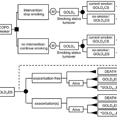 Flowchart Describing The Markov Multi State Model Used X Value Is 1