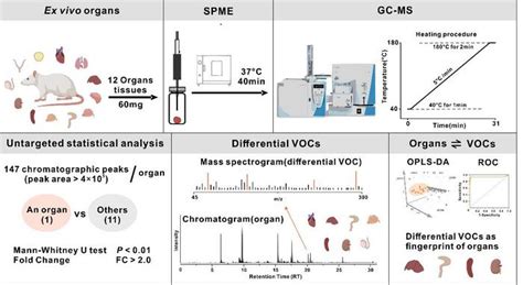 Advanced Gc Ms Detection Enabl Image Eurekalert Science News Releases