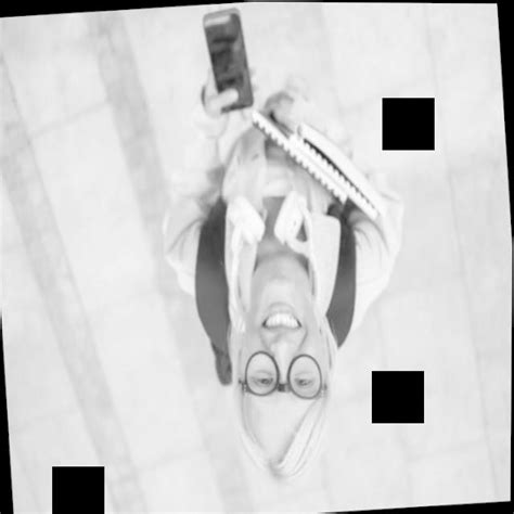 Review Batch Instance Segmentation Dataset By Blucursor