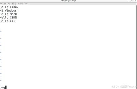 【linux】vi vim编辑器简单介绍 vim命令的全称 csdn博客