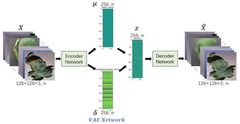 Image Generation Of Tomato Leaf Disease Identification Based On Adversarial Vae