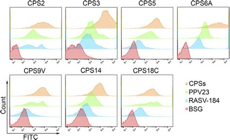 Complement Deposition Assays Representative Data Of Flow Plots For Download Scientific Diagram