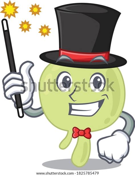 Rabbit Lymph Node Section Over 1 Royalty Free Licensable Stock