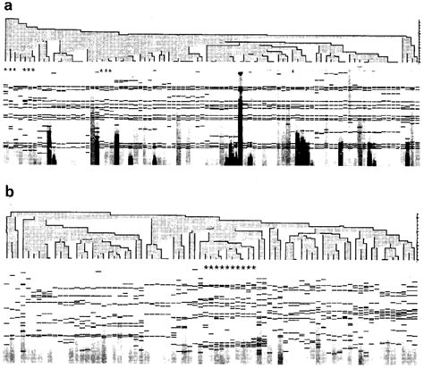 a dendrogram of is6110 rflp patterns for the 77 case isolates and the