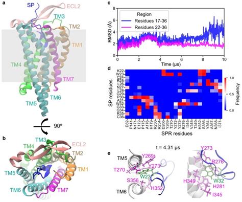 The Origin And Evolution Of Sex Peptide And Sex Peptide Receptor
