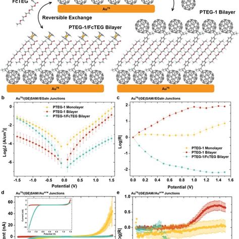 Characterization Of The In Operando Modulation Of Rectification In Download Scientific Diagram