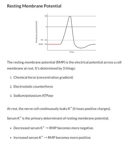 Cardiovascular Flashcards Quizlet
