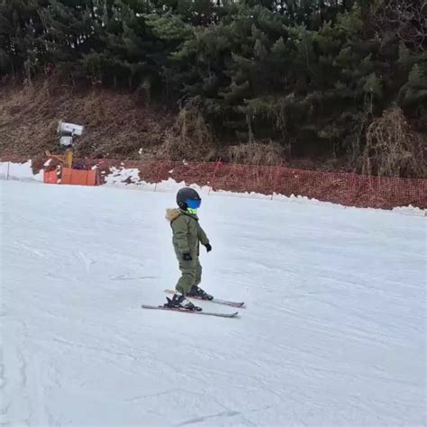 7세 스키강습 후기 웰리힐리 스키강습 시그너리 스키스쿨 네이버 블로그