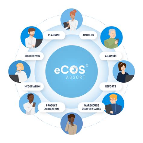 Assortment Management At Timothy Samons Blog