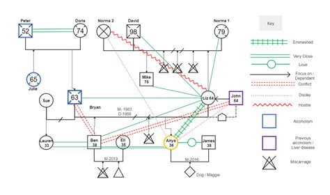 Case Study Genogram Example At Lori Novak Blog