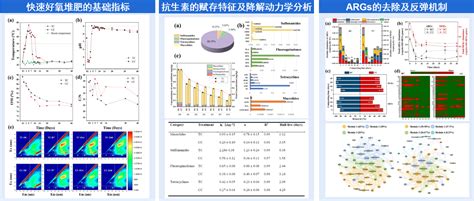 国家环境保护新污染物环境健康影响评价重点实验室 上海交通大学环境科学与工程学院