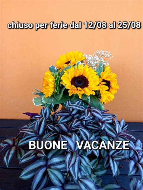 Centro Estetico Di Daniela Bisi Piacenza