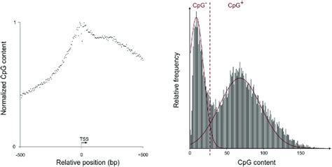 Cpg Distribution Around Tss Visualized Are The Distributions Of Cpgs