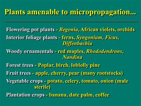 Ppt Plant Propagation Powerpoint Presentation Free Download Id 186774