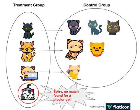The Five Steps Of Matching In Causal Inference Elles Journey