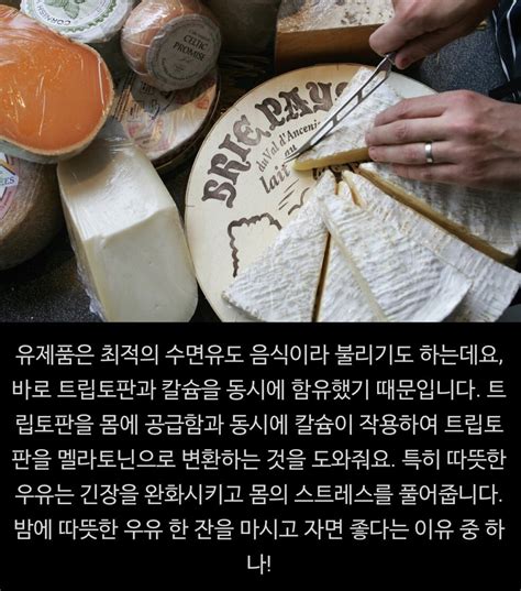 수면에 도움을 주는 음식 우유유제품호두아몬드체리바나나 잠들기 전에 챙겨먹어야지기사내용 보그코리아 Your Best