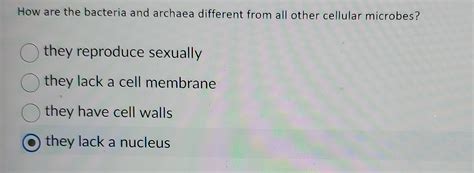 Solved How Are The Bacteria And Archaea Different From All