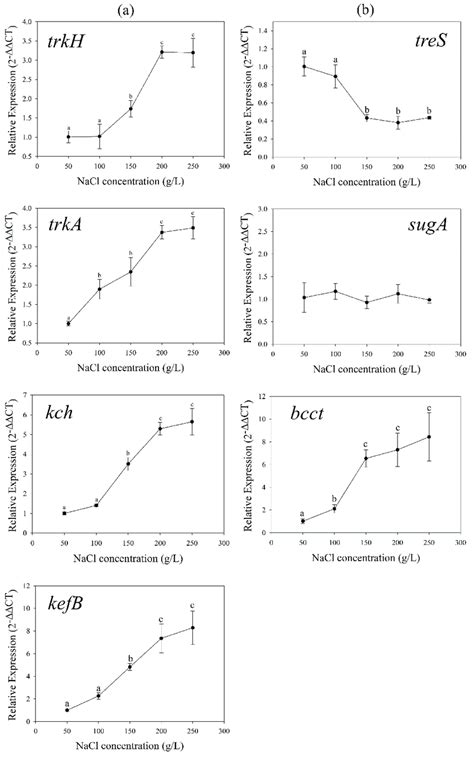 The Relative Expression Levels Of Potassium Uptake Genes Trkh Trka