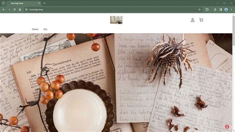 Bracinglyshop Fact Check Legitimate Or Shady Scam