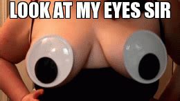 11 Best Ui Am A Box Images On Pholder Funny Aww And Jesuschristouija