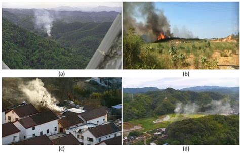 An Efficient And Lightweight Detection Model For Forest Smoke Recognition
