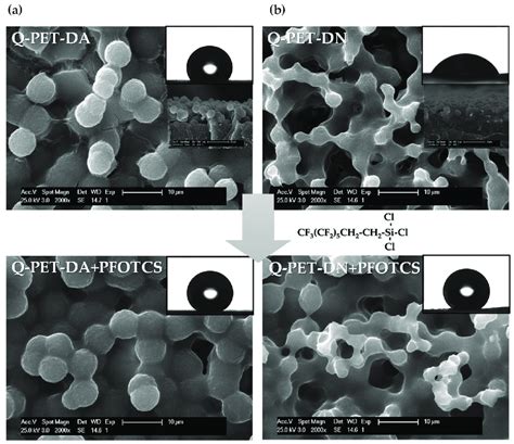 Sem Micrographs Of The Surface And The Section Of The Surfaces After