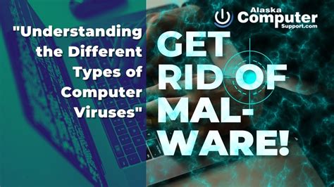 Understanding The Different Types Of Computer Viruses Computer
