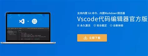 vscode正版授权 武汉一公司拿这去卖钱 myfreax