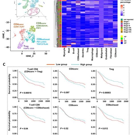 Music Deconvolution Based On T Cell Subtypessubpopulations A