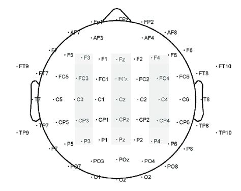 Distribution Of The 64 Electrodes Over The Scalp Used To Record Eeg