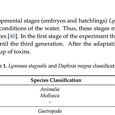 Lymnaea Stagnalis A Juveniles 2 3 Mm Long B Adult 3 5 Cm And Download Scientific
