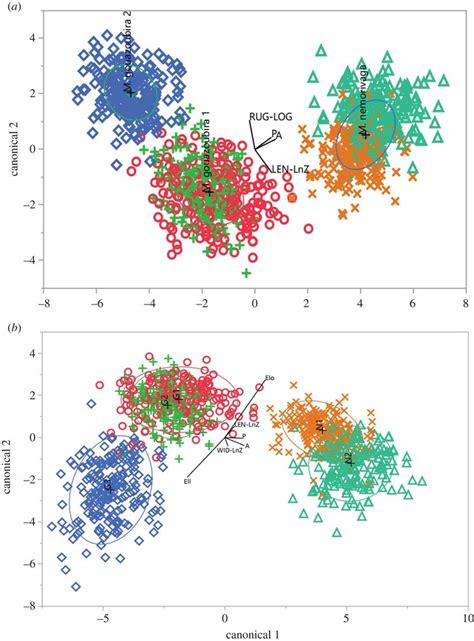 canonical plot the biplot axes are the first two canonical variables