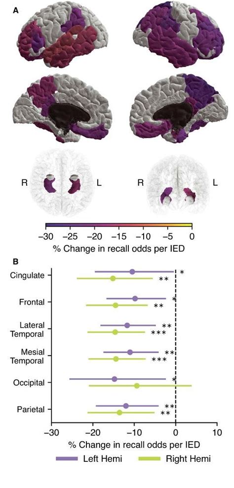 Ieds During Memory Encoding Are Associated With Decreased Recall A Download Scientific