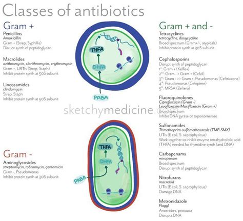 Antibiotic Classes Antibiotics Are Less Effective Because Of Stronger