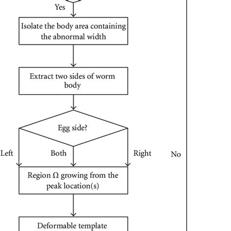 Flowchart Of The Egg Detection Process Download Scientific Diagram Flowchart Of The Egg Detection Process Download Scientific Diagram